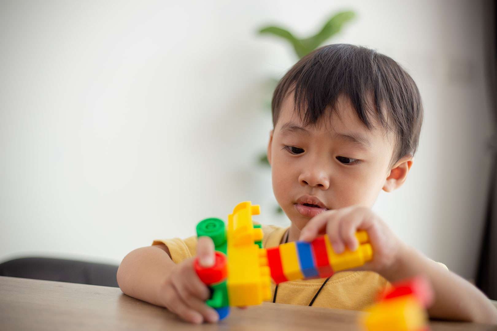 Why Early Intervention Matters - Special Education Cambodia - Autism ...